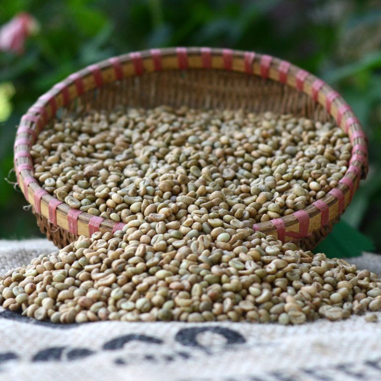 Robusta Wash (phương pháp chế biến ướt) - AEROCO COFFEE