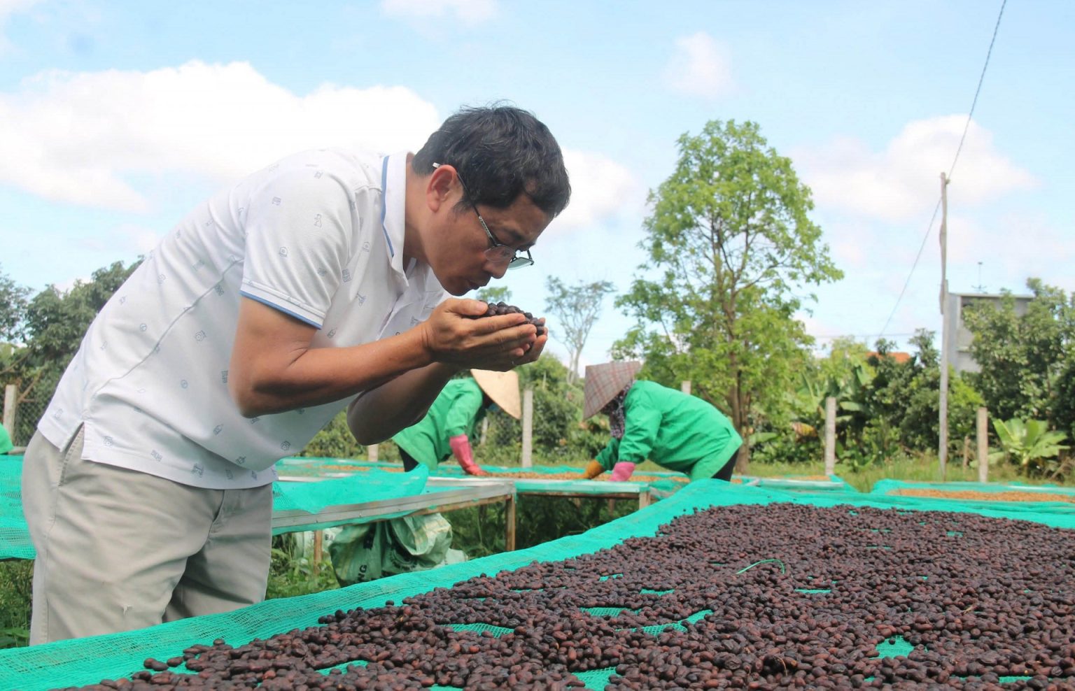 Cà phê đặc sản Việt Nam khẳng định vị thế trên thị trường quốc tế ...